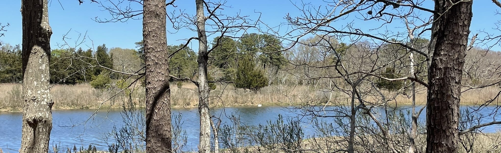 Indian Island Loop: 315 Reviews, Map - New York | AllTrails