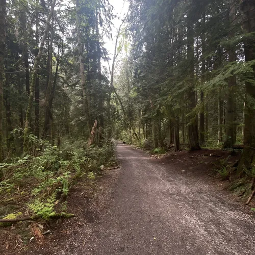 10 Best Hikes and Trails in Pacific Spirit Regional Park | AllTrails