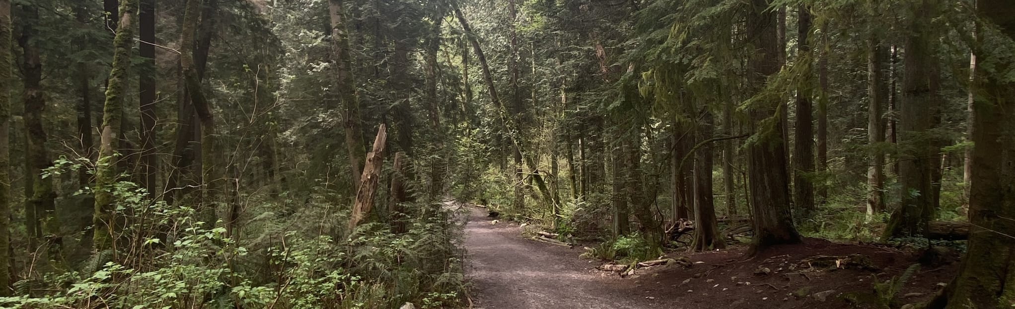 Top Trail - Nature Trail - Salish Trail - Sasamat Trail: 409 fotos ...