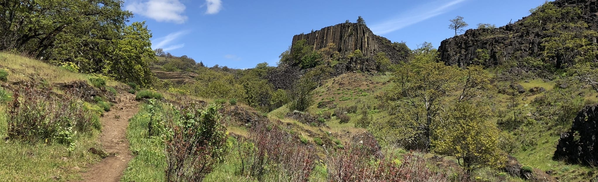 Labyrinth Trail: 807 foto's - Washington | AllTrails