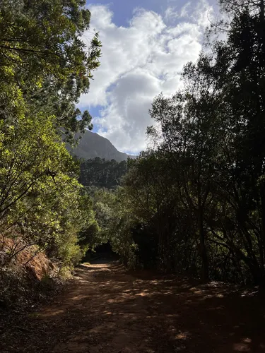 Best Hikes and Trails in Newlands Forest | AllTrails