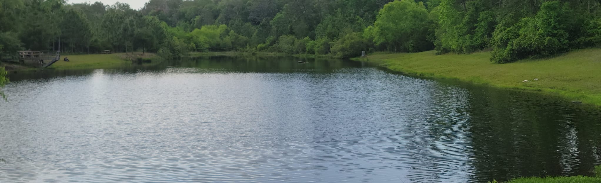 Anderson Pond Loop: 17 Reviews, Map - Florida | AllTrails