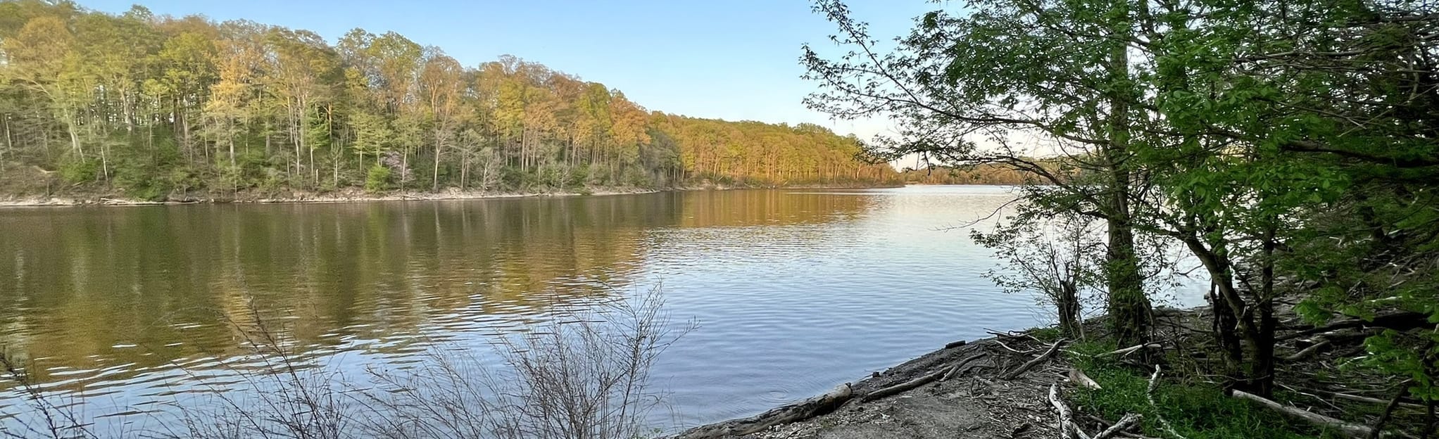 Clover Road Trail : 165 Reviews, Map - Ohio | AllTrails