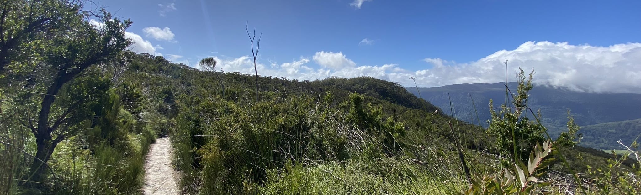 Surprise Rock via Dave's Creek Circuit - Queensland, Australia | AllTrails