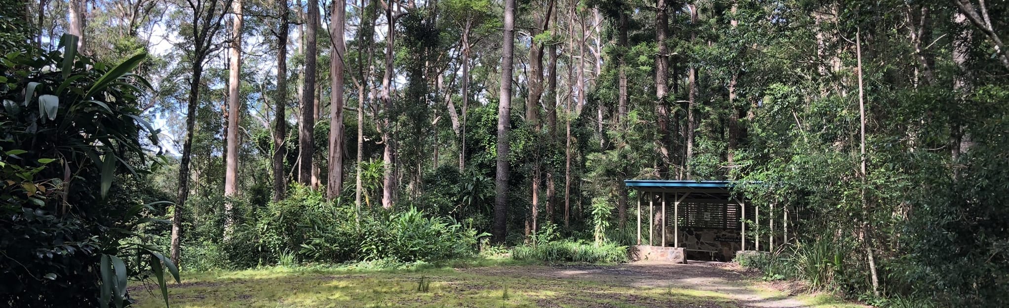 Mount Nebo Loop: 188 foto's - Queensland, Australië | Wandelen - AllTrails
