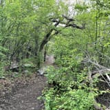 Quail Trail Loop, Utah - 259 Reviews, Map | AllTrails