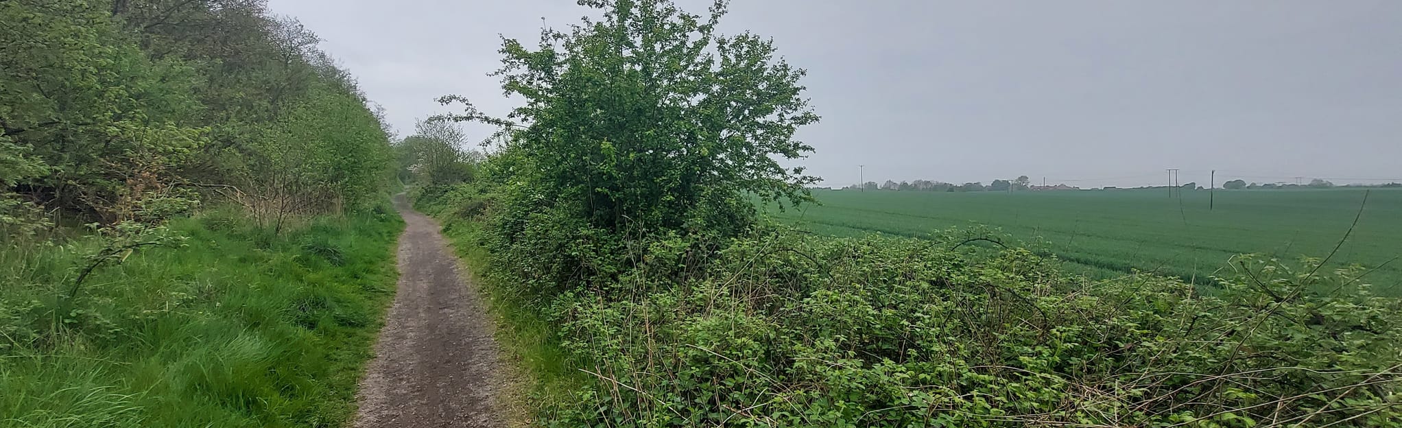 Fitzwilliam Country Park Circular, West Yorkshire, England - 44 Reviews ...