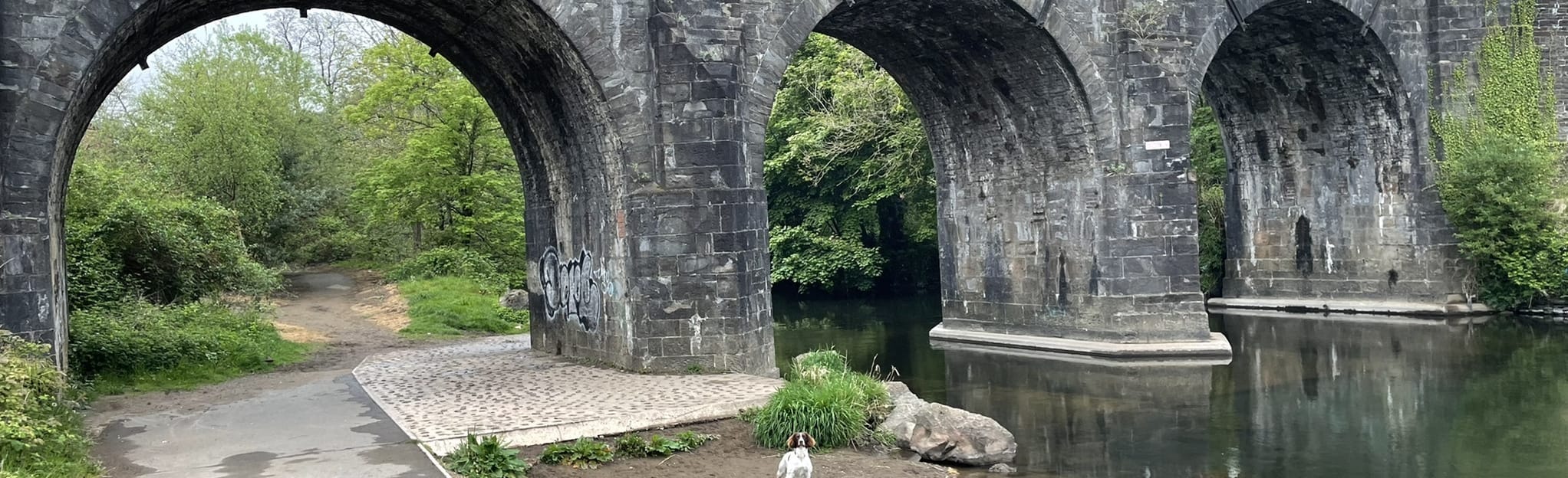 Old Bassaleg Bridge and Ebbw River Circular - Newport, Wales | AllTrails