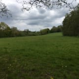 Petts Wood and Hawkwood Circular, London, England - 197 Reviews, Map ...