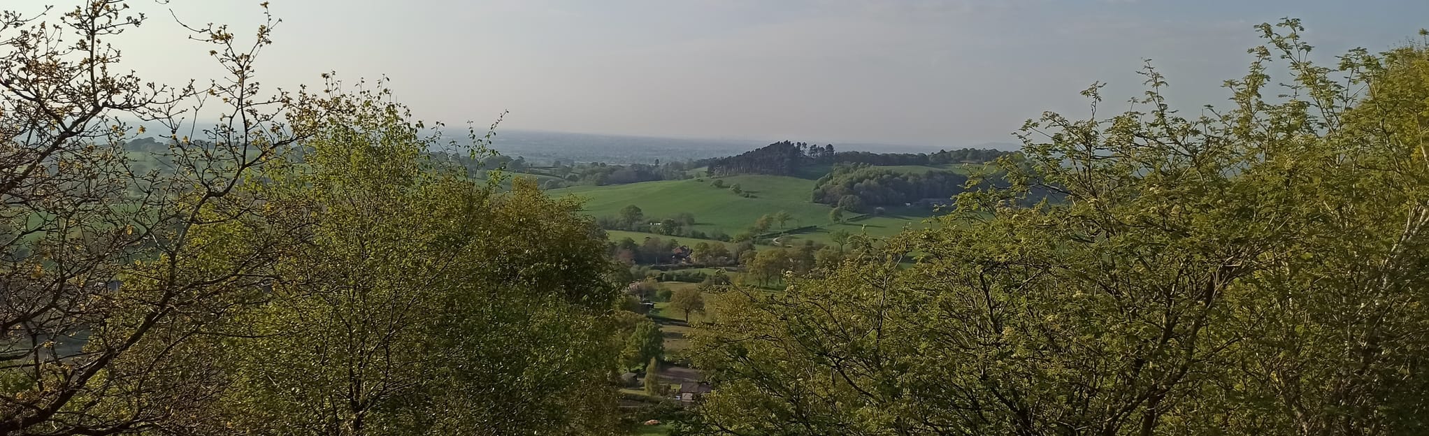 Larkton Hill Circular, Cheshire, England - 37 Reviews, Map | AllTrails