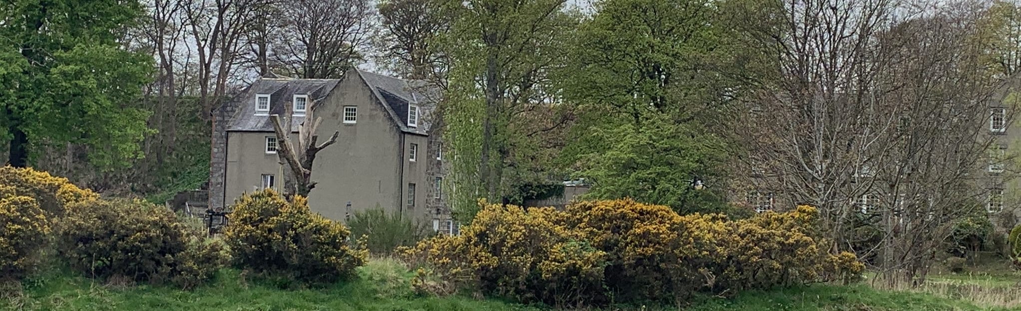 Seaton Park Wetland and Cathedral Walk, Aberdeen, Scotland - 7 Reviews ...