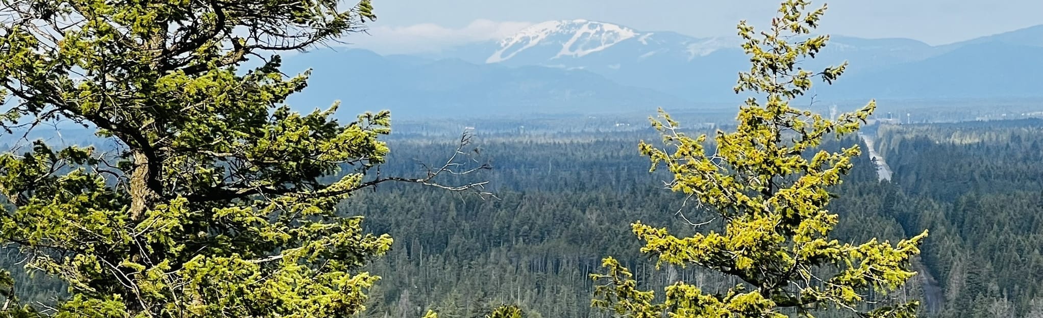 High Point Trail: 241 Reviews, Map - Idaho | AllTrails