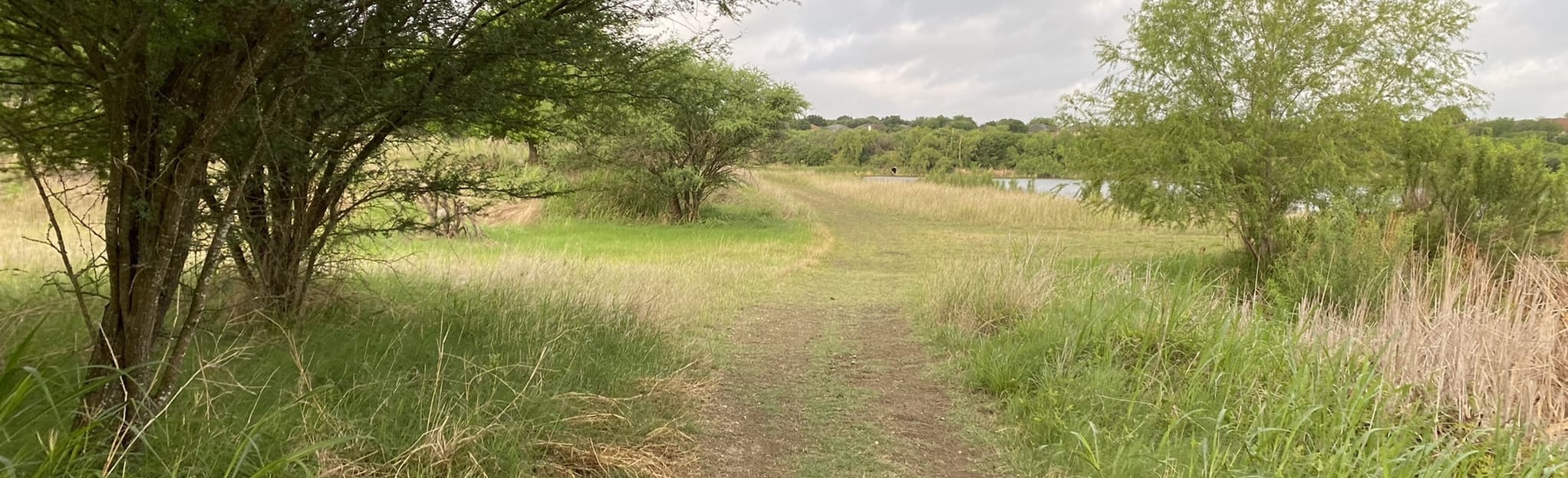 Converse City Park Walking Trail - Texas | AllTrails