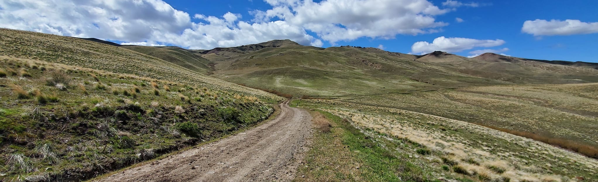 Wilson Creek Road and Side Roads OHV Trail | Map, Guide - Idaho | AllTrails