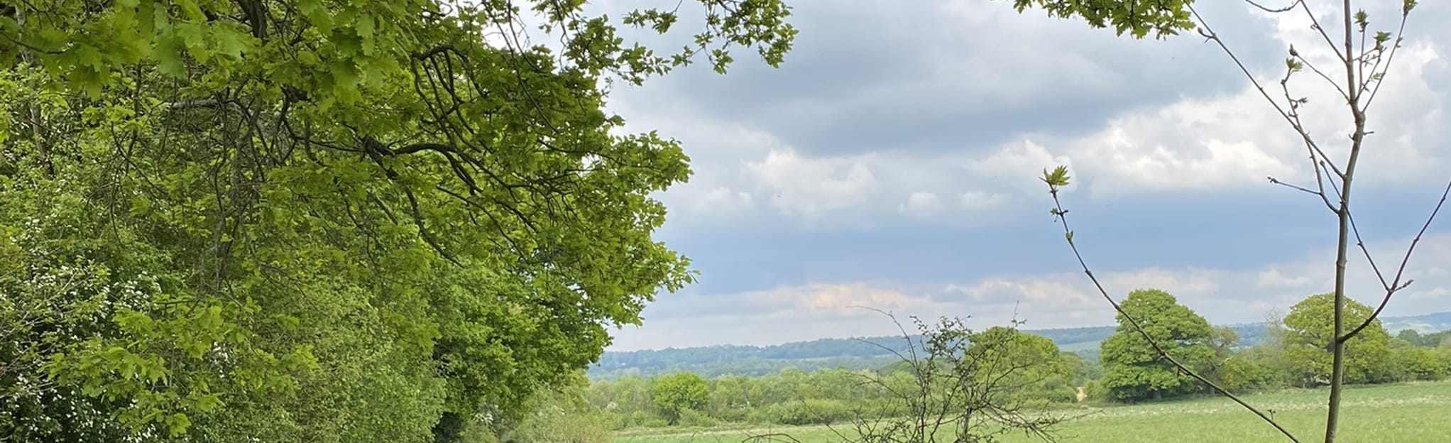 Outwood and Hornecourt Hill, Surrey, England - 31 Reviews, Map | AllTrails