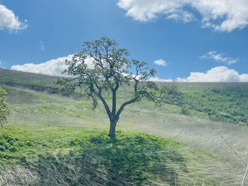 10 Best Mountain Biking Trails in Agoura Hills | AllTrails