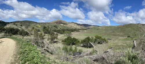 10 Best Hikes and Trails in Cheeseboro/Palo Comado Canyons | AllTrails