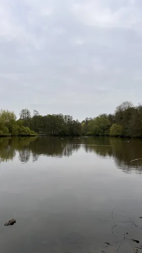 Best Hikes and Trails in Elmdon Park | AllTrails