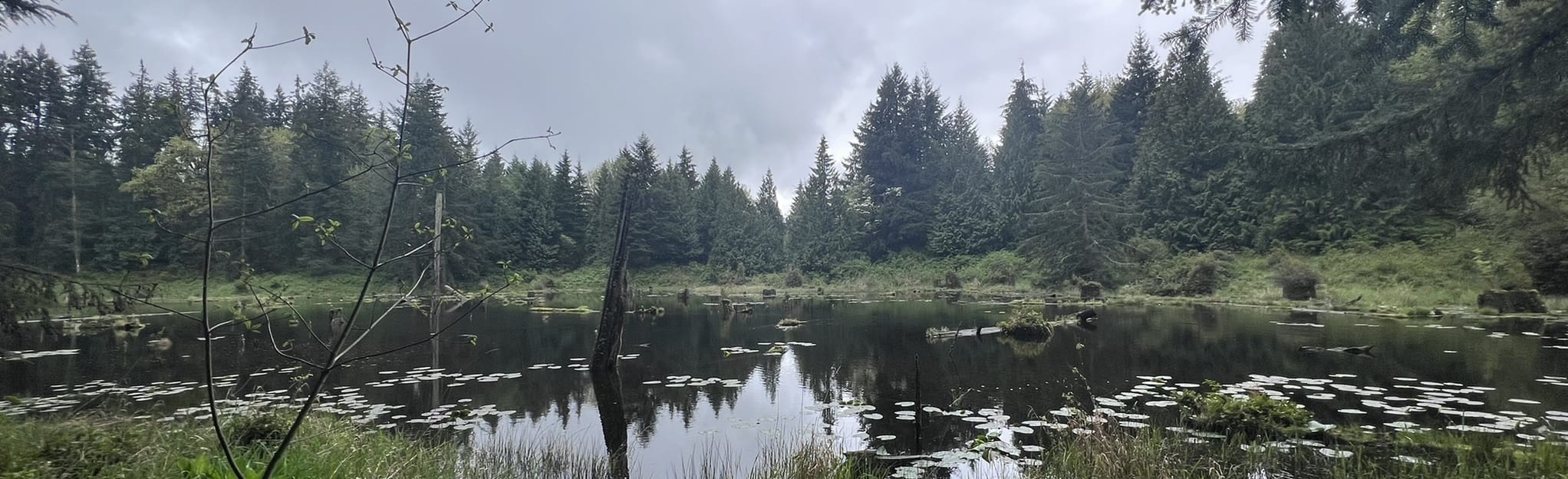 Midway, Temple Pond and Red Barn Loop, Washington - 311 Reviews, Map ...