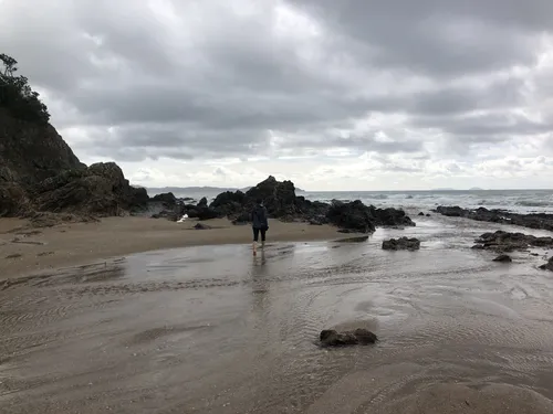 2023 Best Views Trails in Onerahi | AllTrails