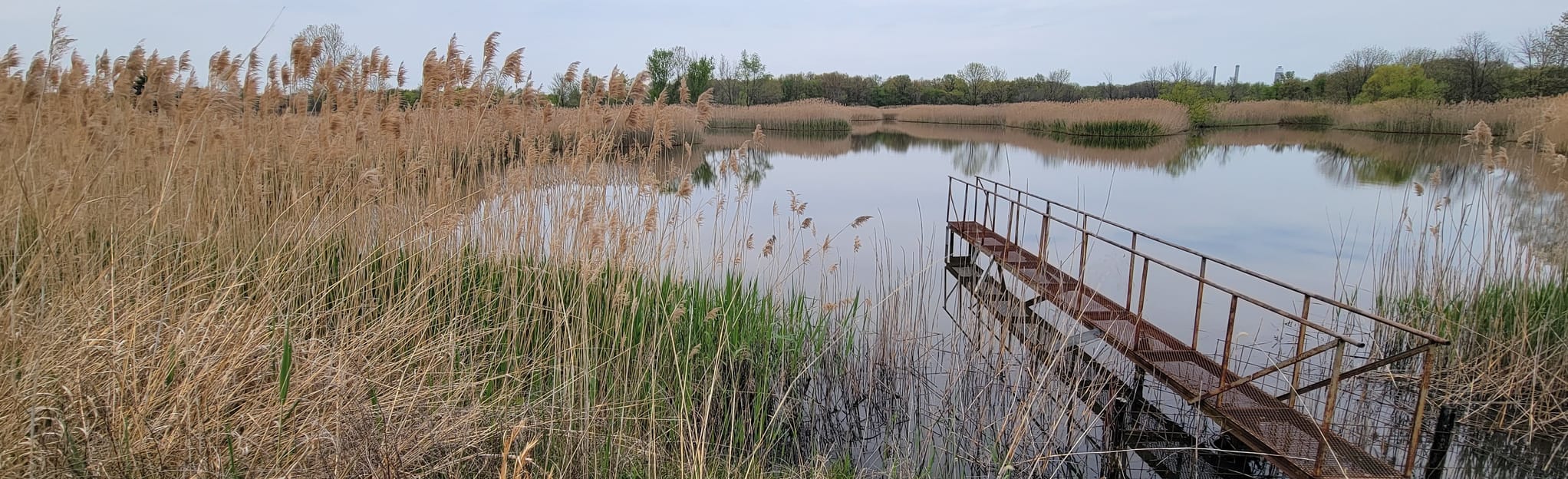 Newton Lake Trail, Illinois - 29 Reviews, Map | AllTrails