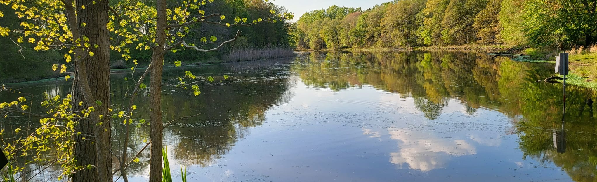 Little Jersey Trail around Lums Pond, Delaware - 726 Reviews, Map ...