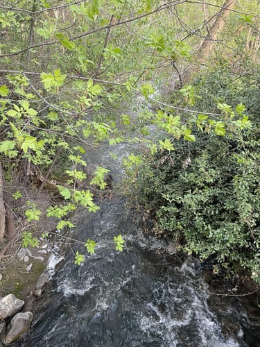 Best Hikes and Trails in Layton Commons Park | AllTrails