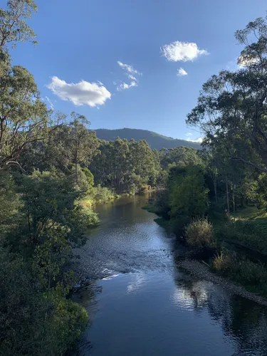 10 Best Trails and Hikes in Bright | AllTrails