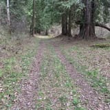 Argenta Trail, British Columbia, Canada - 4 Reviews, Map | AllTrails