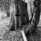 Argenta Trail, British Columbia, Canada - 4 Reviews, Map | AllTrails