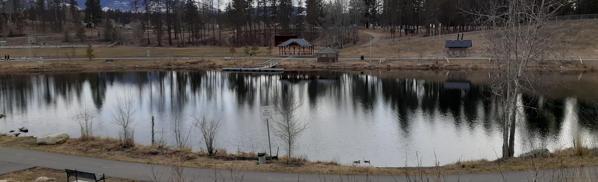 Idlewild Lake Loop, British Columbia, Canada - 57 Reviews, Map | AllTrails