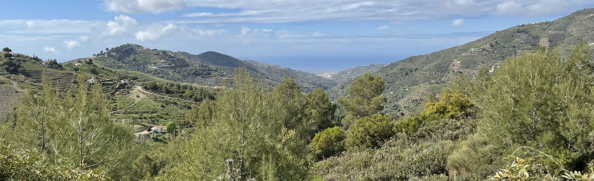 Ruta Circular de Acebuchal: 5 Reviews, Map - Málaga, Spain | AllTrails