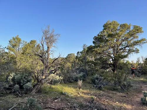 10 Best Trails and Hikes in Jacob Lake | AllTrails