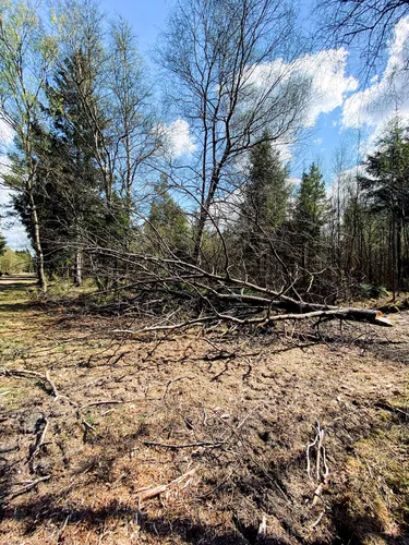 2023 Best Camping Trails in Haderup | AllTrails