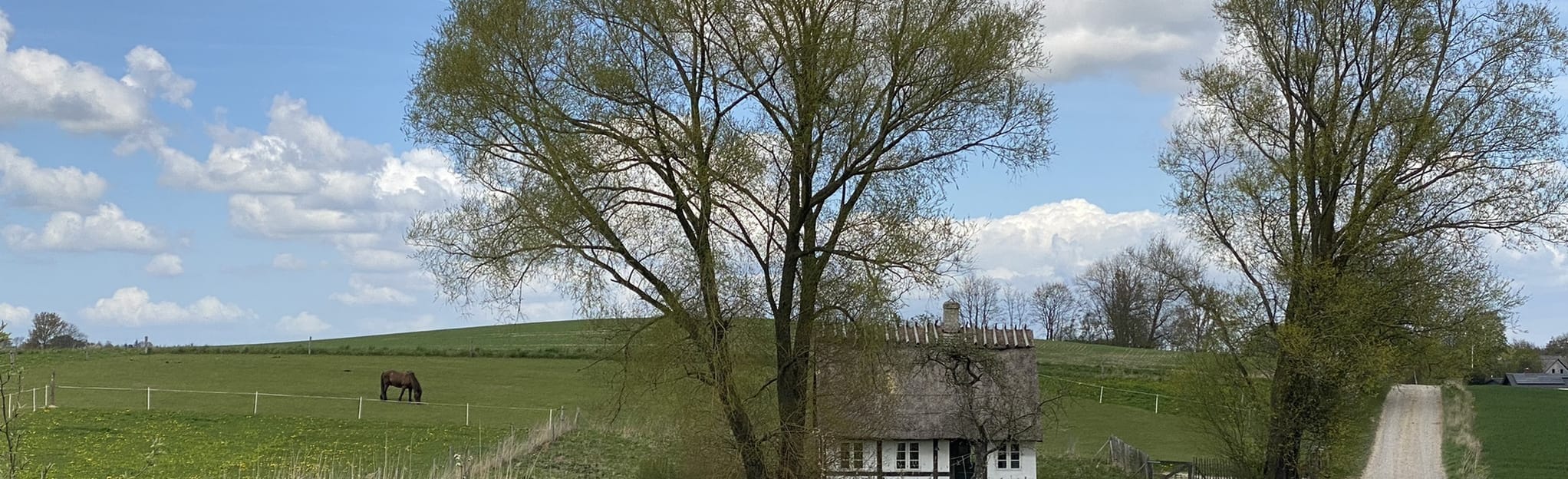 The Danish Pilgrim's Route - Roskilde to Ringsted, Region Zealand ...