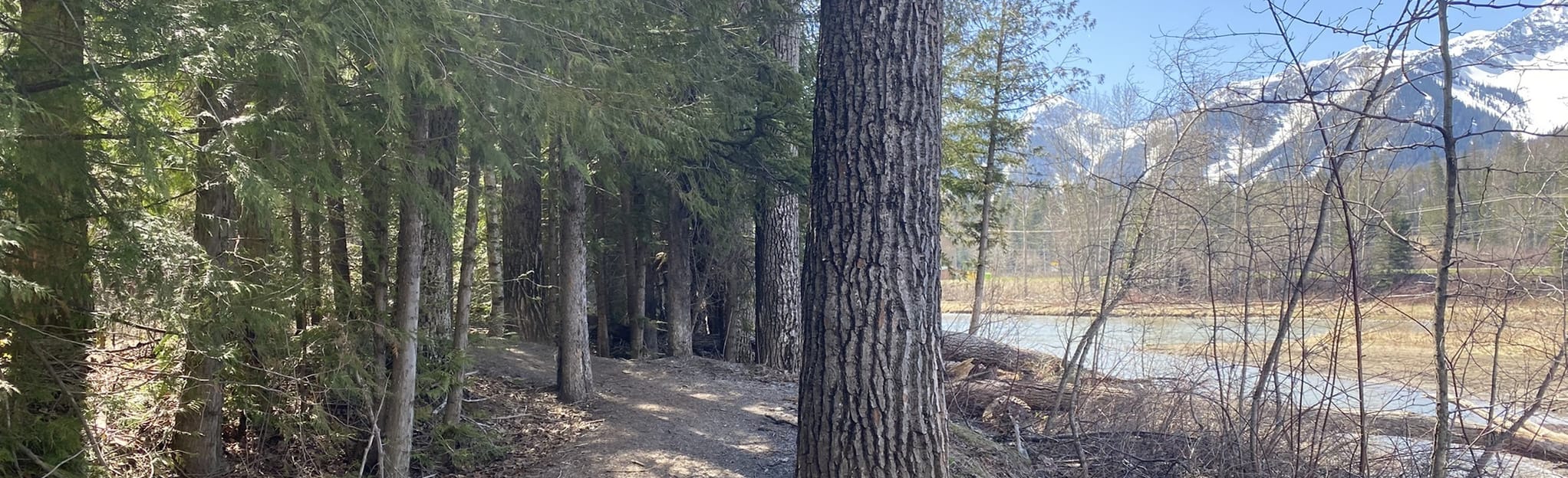 South Town Loop and Dike Trail: 31 Reviews, Map - British Columbia ...