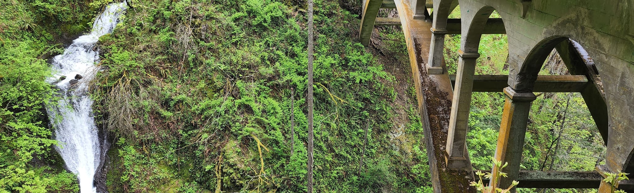 Springwater Corridor and Historic Columbia River Highway, Oregon - 24 ...