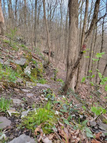 Best Hikes and Trails in Back Mountain Outdoor Recreational Complex ...