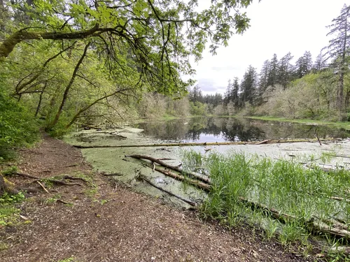 Best Hikes and Trails in Lake Lois Habitat Reserve | AllTrails