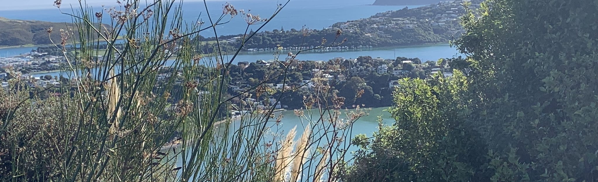 Spinnaker Lookout Loop, Wellington, New Zealand - 22 Reviews, Map ...