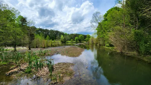 10 Best Hikes and Trails in Bernheim Arboretum and Research Forest ...