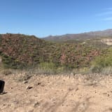 Verde River Sheep Bridge from Cave Creek, Arizona - 124 Reviews, Map ...