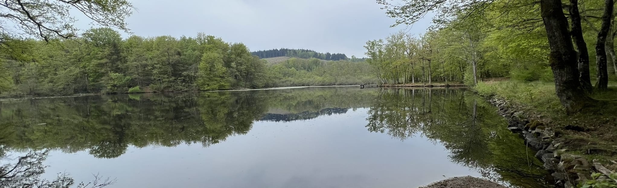 Le Morvan in Brassy, Nièvre, France - 4 Reviews, Map | AllTrails