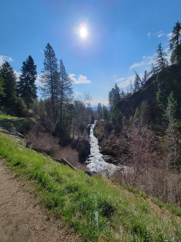 10 Best Hikes and Trails in Bitterroot National Forest | AllTrails