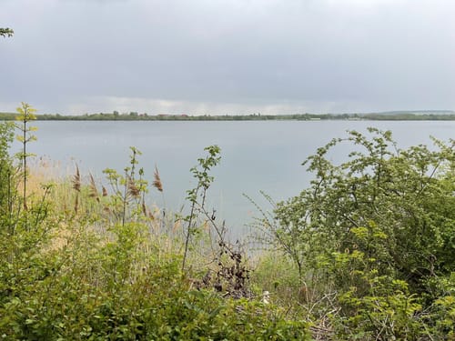 Best Hikes and Trails in Marston Vale Millennium Country Park | AllTrails