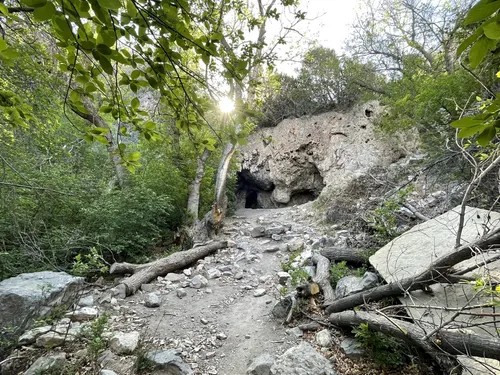 10 Best Waterfall Trails in Sandia Mountain Wilderness | AllTrails
