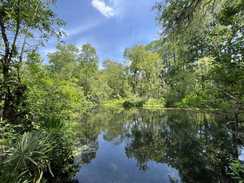 Best Hikes and Trails in Ichetucknee Springs State Park | AllTrails