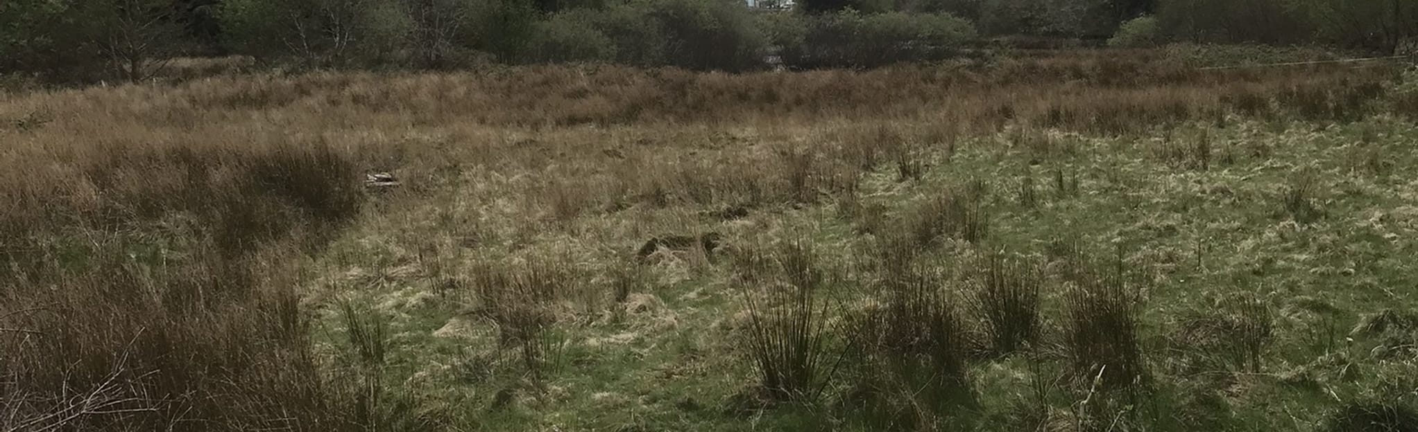 Flowerdale Waterfall: 45 Reviews, Map - Highlands, Scotland | AllTrails