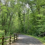 Jackson River Trail, Virginia - 120 Reviews, Map | AllTrails