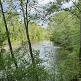 Jackson River Trail, Virginia - 120 Reviews, Map | AllTrails